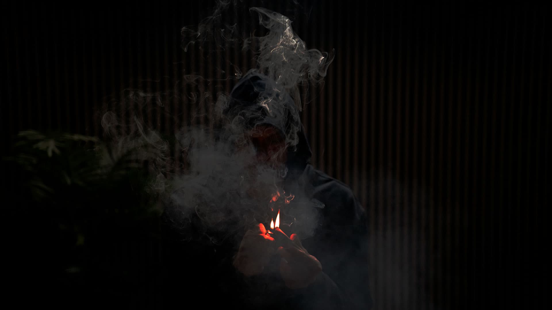 Doja Direct | California’s Top Premium Cannabis & Doja Pak